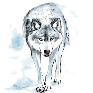 Wolf Clip Art, 12x Watercolor Wolf Clipart Set, Snow Wolf, Wild Animal ...