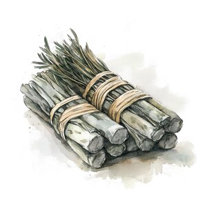 12x Smudge Stick PNG Clipart, Herb Bundles Clip Art, High Quality ...