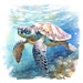 Sea Turtles Clipart, 12 Jpgs, Ocean Wildlife Clip Art, Printable Image ...