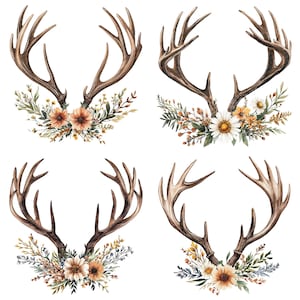 Deer Antler PNG Clipart, 12x Floral Antlers Clip Art Set, Printable ...