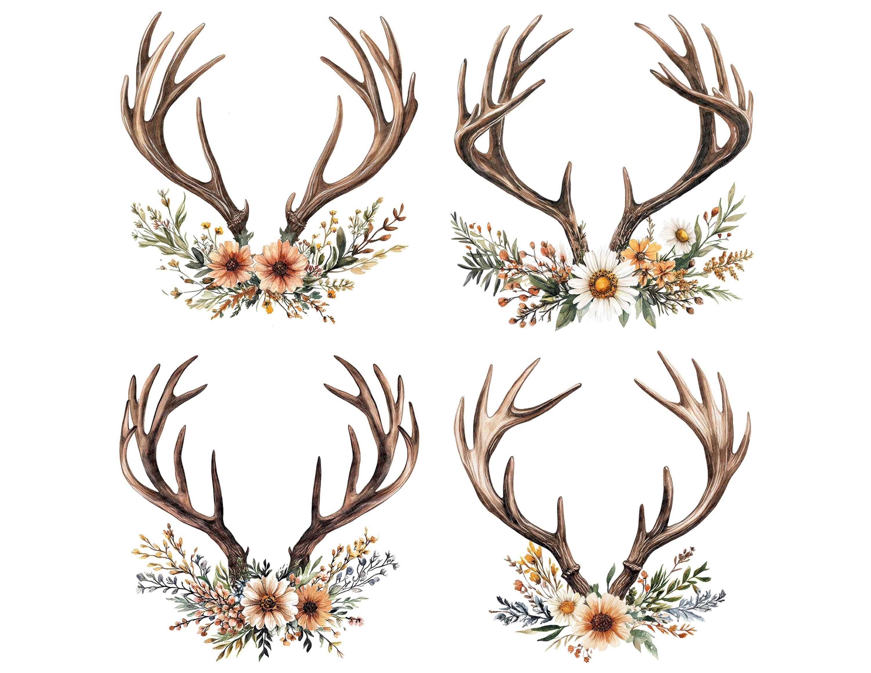Deer Antler PNG Clipart, 12x Floral Antlers Clip Art Set, Printable ...