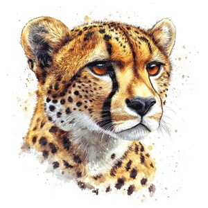 Wild Cats Clipart, Big Cats Watercolor Illustration, Printable Clipart ...