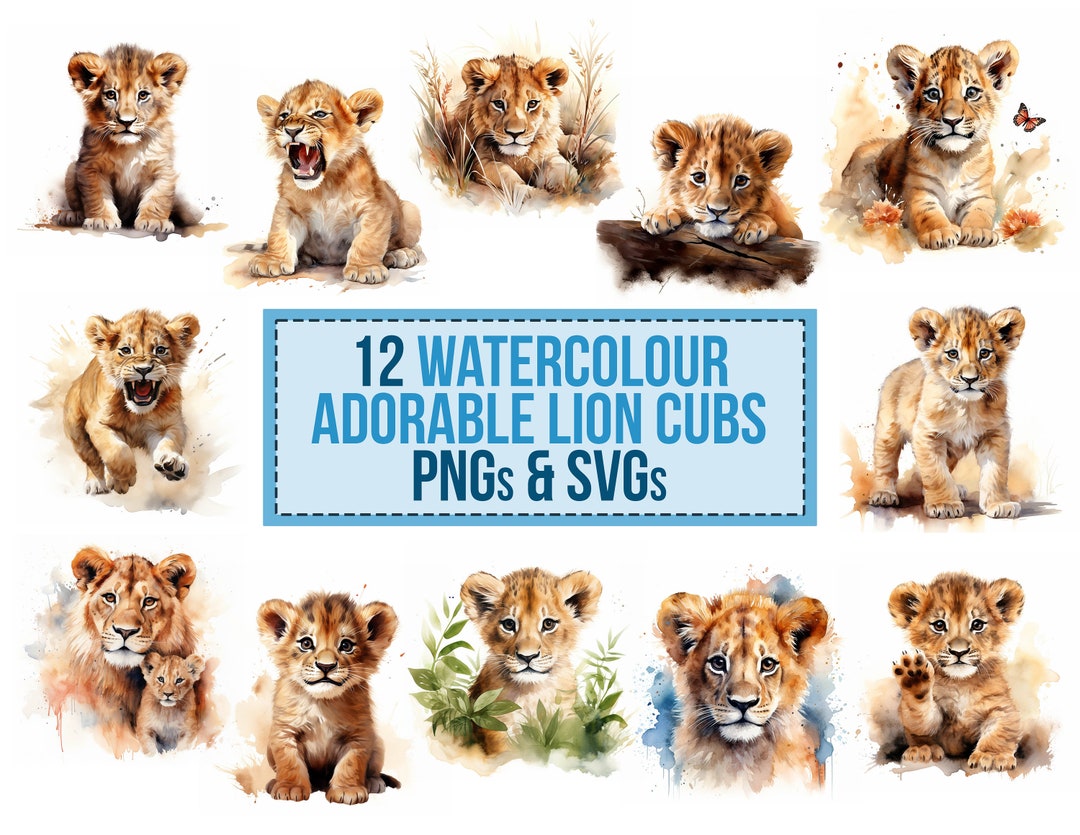 12x Watercolor Lion Cubs PNG Designs Bulk Bundle Downloads Transparent ...
