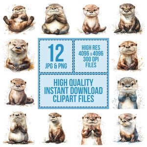 Otter PNG Clipart, 12x Watercolor Playful Otter Illustrations ...