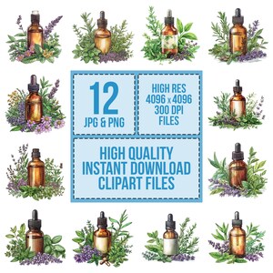 12x Essential Oil Clip Art, Herb Oil Bottle PNG Set, Printable ...
