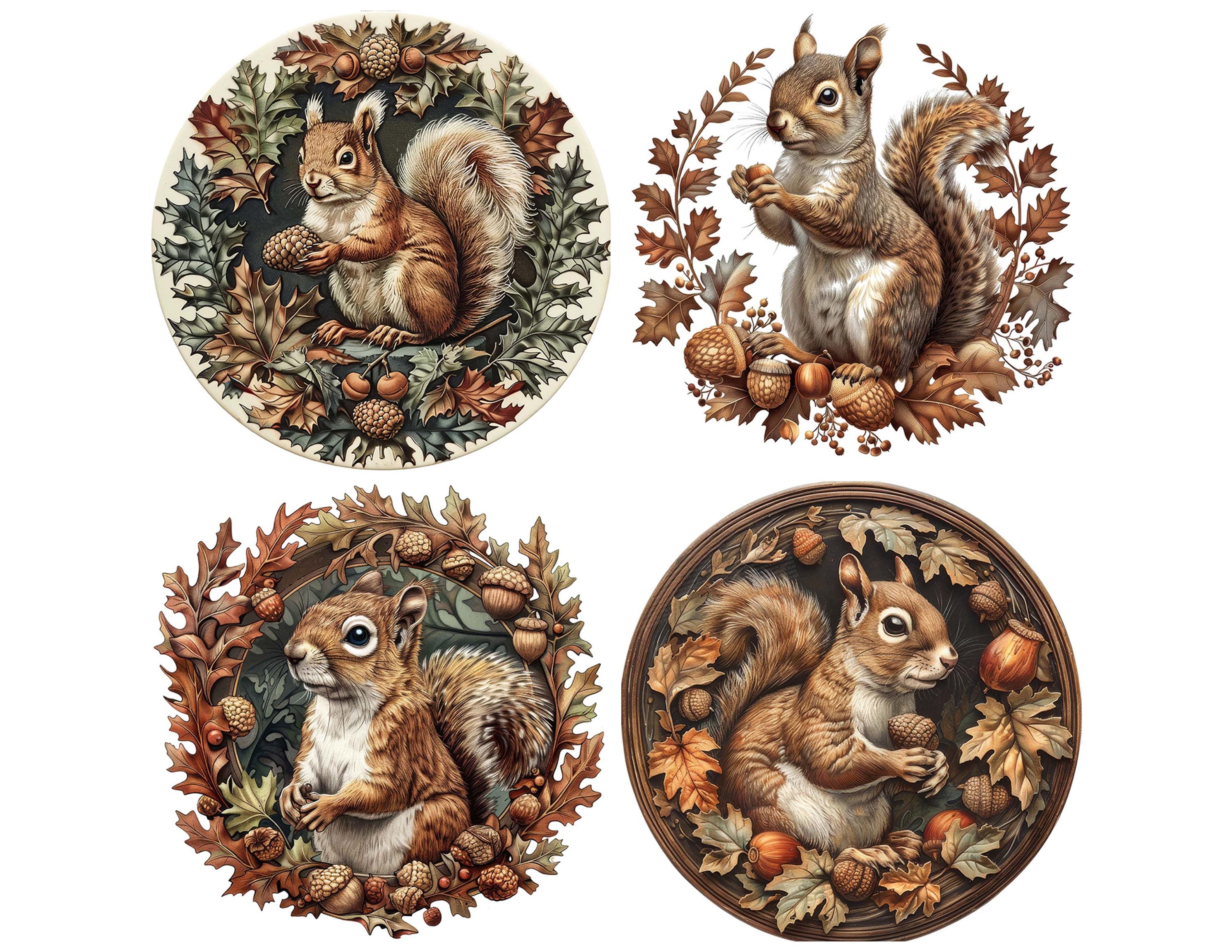Squirrel Clipart, 12x Vintage Woodland Animal Set, Printable Autumn ...