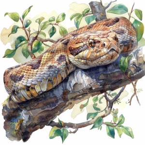 12x Snake in Tree Clipart, Reptile Tree Clipart, Printable Watercolor ...