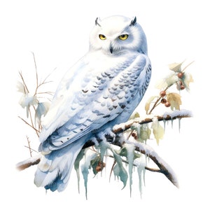 Snowy Owl Clipart, 12 Jpgs, Winter Snow Owls Clip Art, Printable Image ...