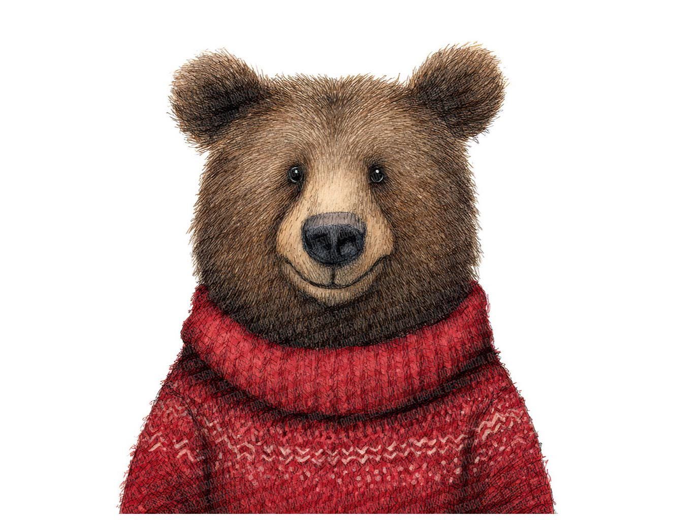 Bear PNG Clipart, 12x Christmas Bear in Sweater Clip Art Set, Printable ...