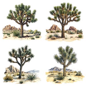 Joshua Tree PNG Clipart, 12x Desert Landscape Clip Art Set, Printable ...
