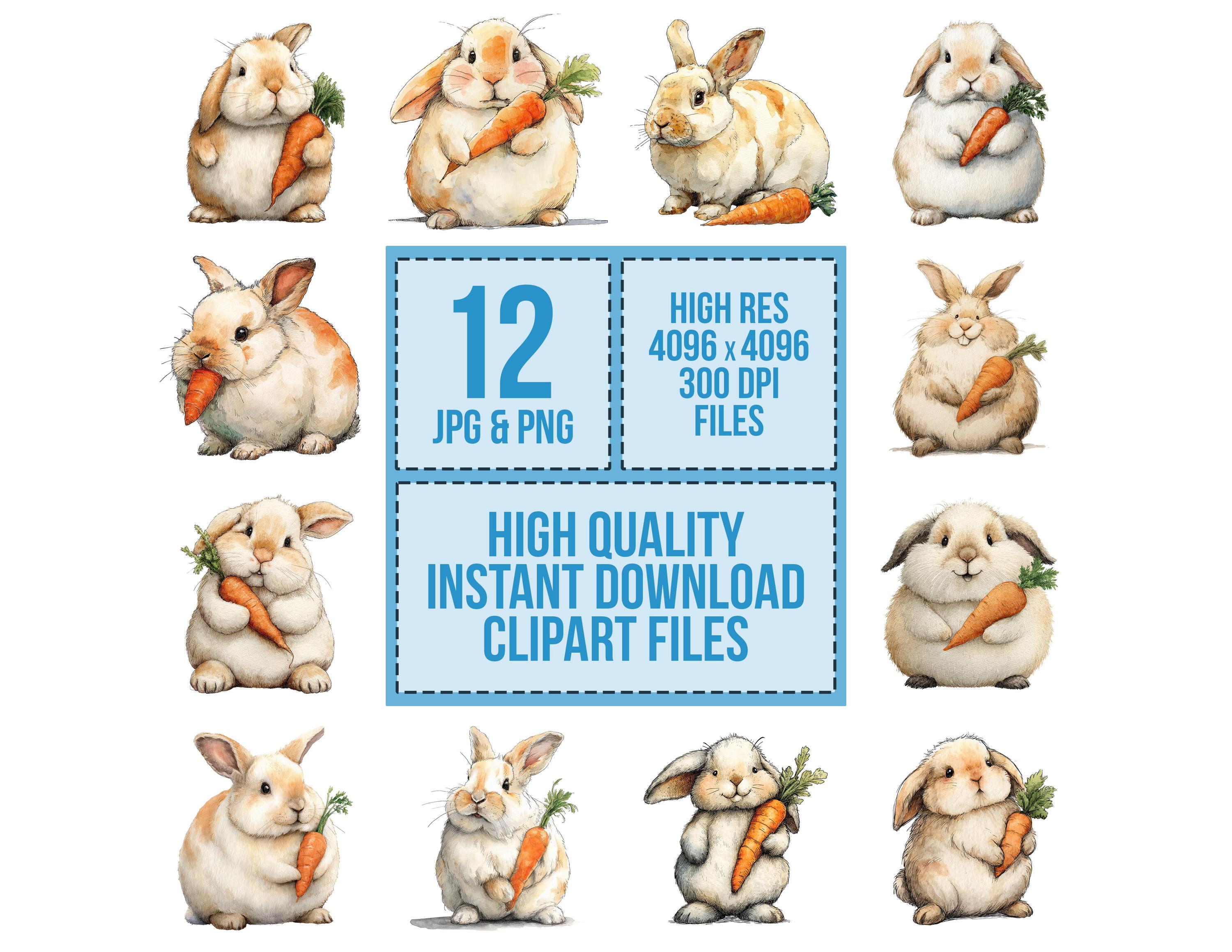 12x Bunny With Carrot PNG Clipart, Watercolor Rabbit Clip Art Set ...