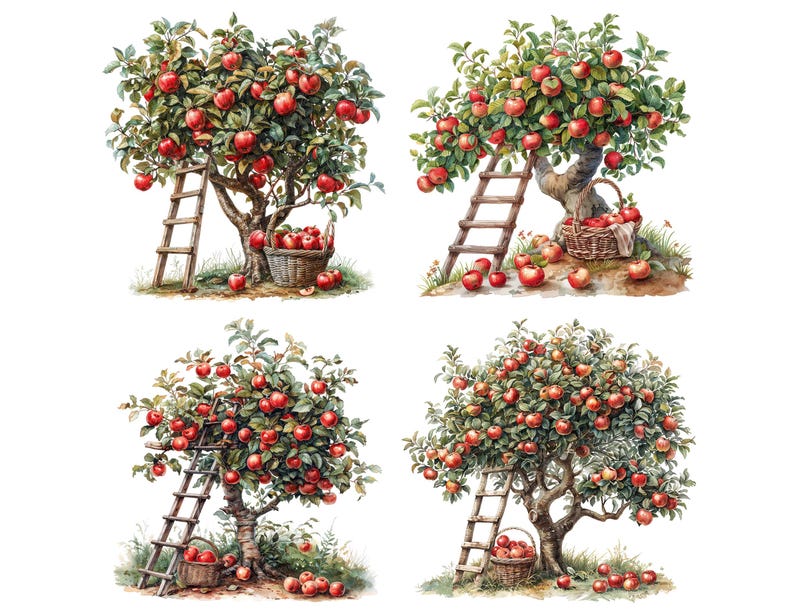 Apple Tree Harvest PNG Clipart, 12x Fall Fruit Clip Art Set, Printable ...