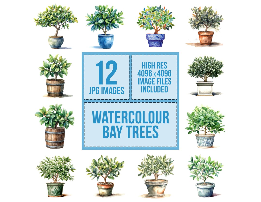 12x Bay Tree Clipart Watercolor Leaves Leaf JPG Digital Clip Art Bundle ...