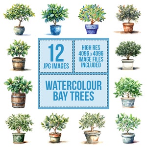 12x Bay Tree Clipart Watercolor Leaves Leaf JPG Digital Clip Art Bundle ...
