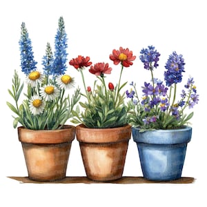 12 Watercolor Potted Flowers Clipart, Terracotta Pots With Wildflowers ...