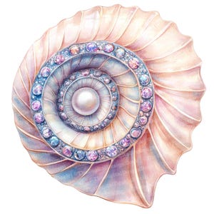 Seashell Clip Art, 12x Watercolor Jeweled Shell Clipart Set, Printable ...