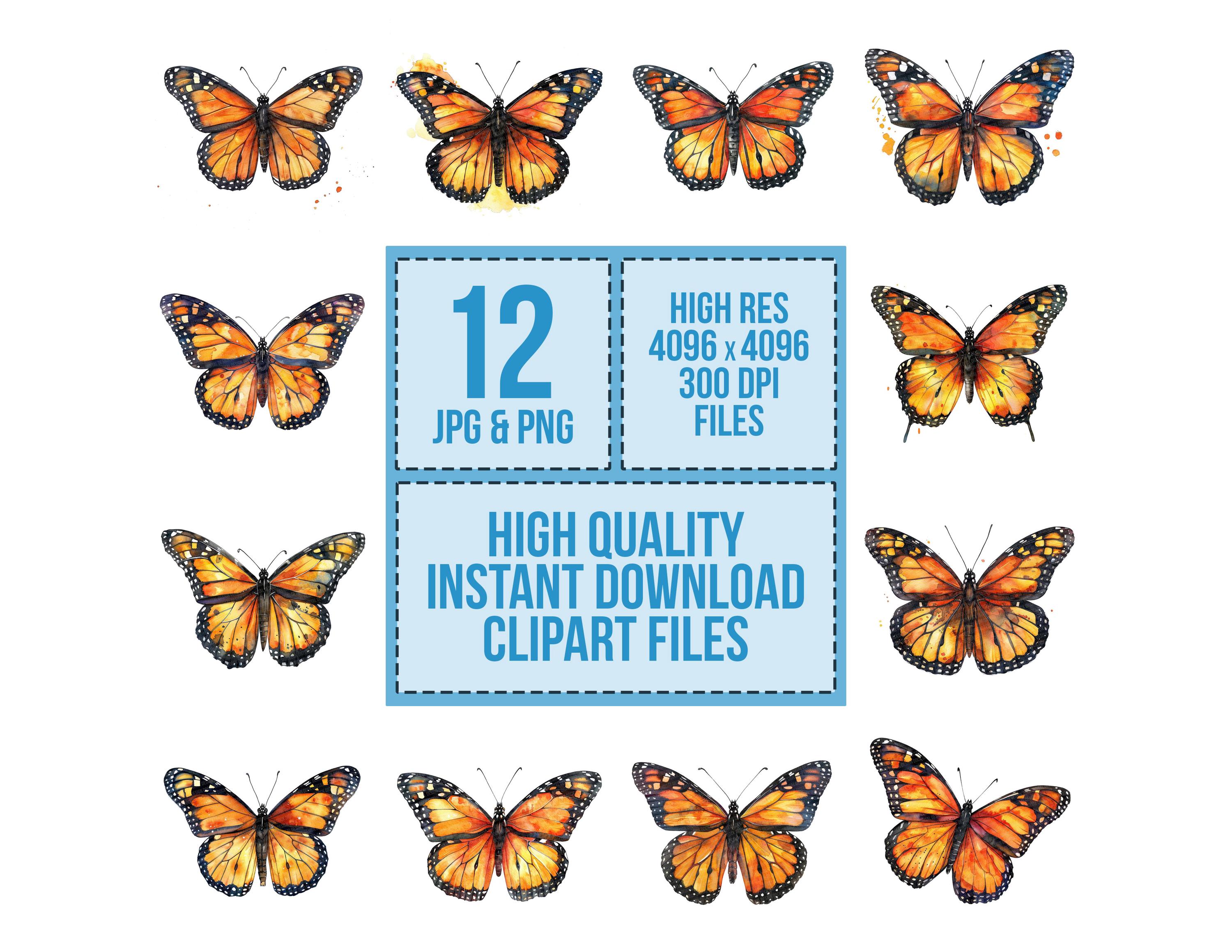 Monarch Butterfly PNG Clipart, 12x Butterfly Clip Art Set, Printable ...