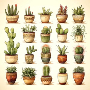 12x Potted Cactus Clipart, Pot Plants Floral Clipart, Printable ...