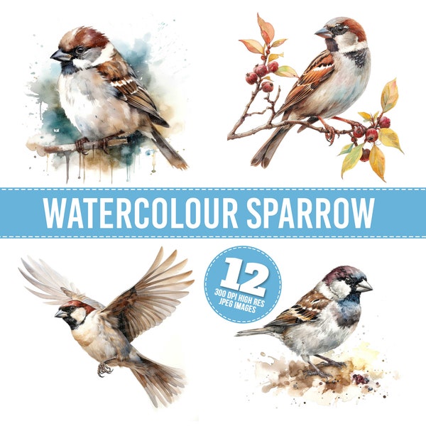 Sparrow Watercolor - Etsy