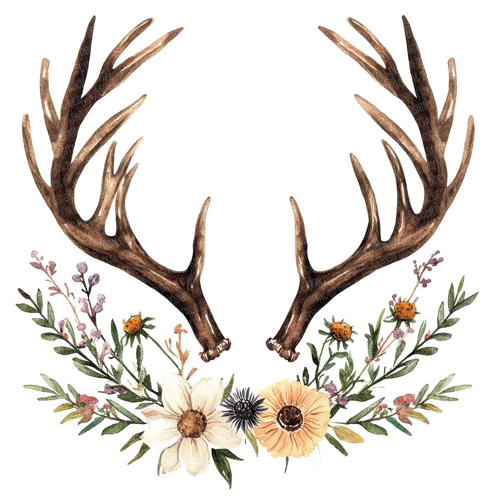 Deer Antler PNG Clipart, 12x Floral Antlers Clip Art Set, Printable ...