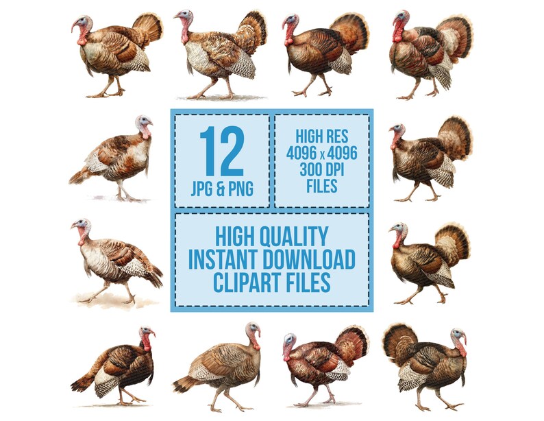 Turkey PNG Clipart, 12x Walking Turkey Clip Art Set, Printable ...