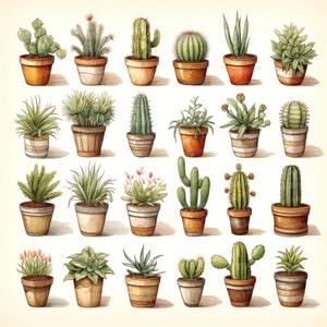 12x Potted Cactus Clipart, Pot Plants Floral Clipart, Printable ...