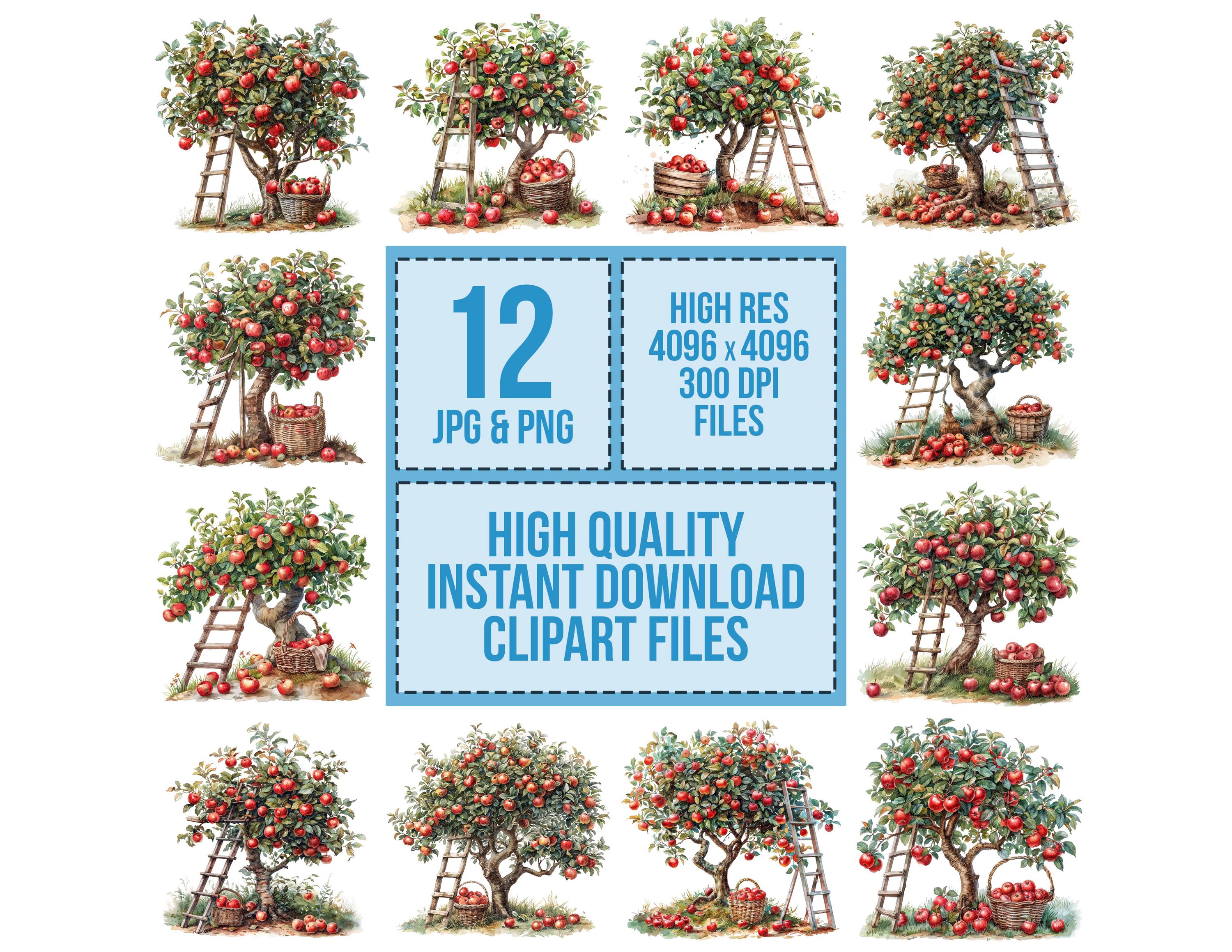 Apple Tree Harvest PNG Clipart, 12x Fall Fruit Clip Art Set, Printable ...
