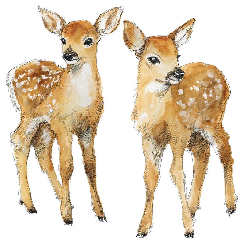 Fawn Clipart PNG, 12x Watercolor Forest Animal Clip Art Set, Printable ...