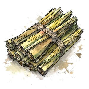12x Smudge Stick PNG Clipart, Herb Bundles Clip Art, High Quality ...