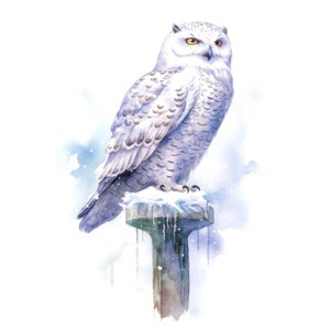 Snowy Owl Clipart, 12 Jpgs, Winter Snow Owls Clip Art, Printable Image ...