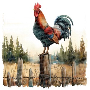 12x Farm Cockerel Clipart, Farm Fence Clipart, Printable Watercolor ...