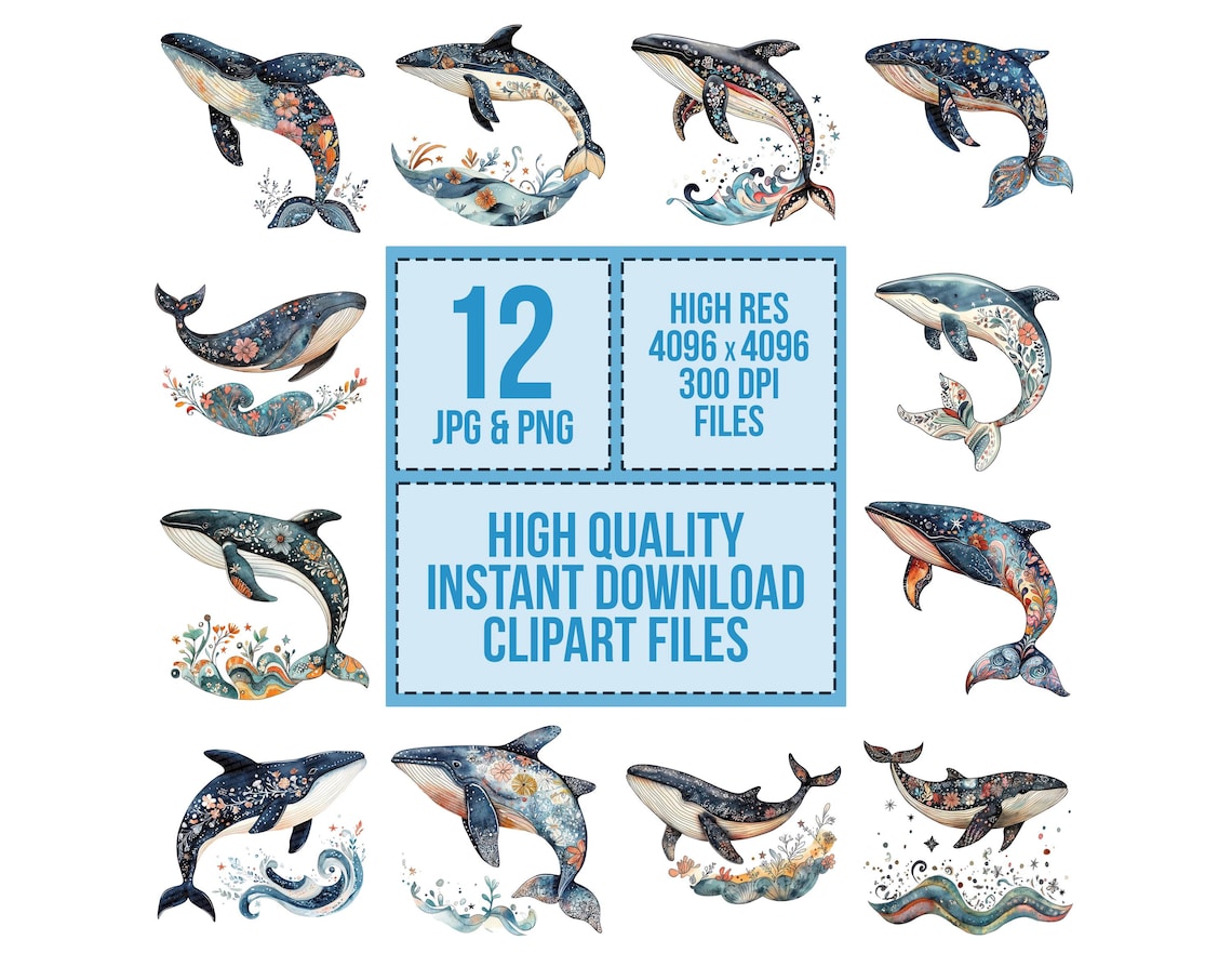 Folk Whale With Waves PNG Clipart, 12x Floral Whale Clip Art Set ...