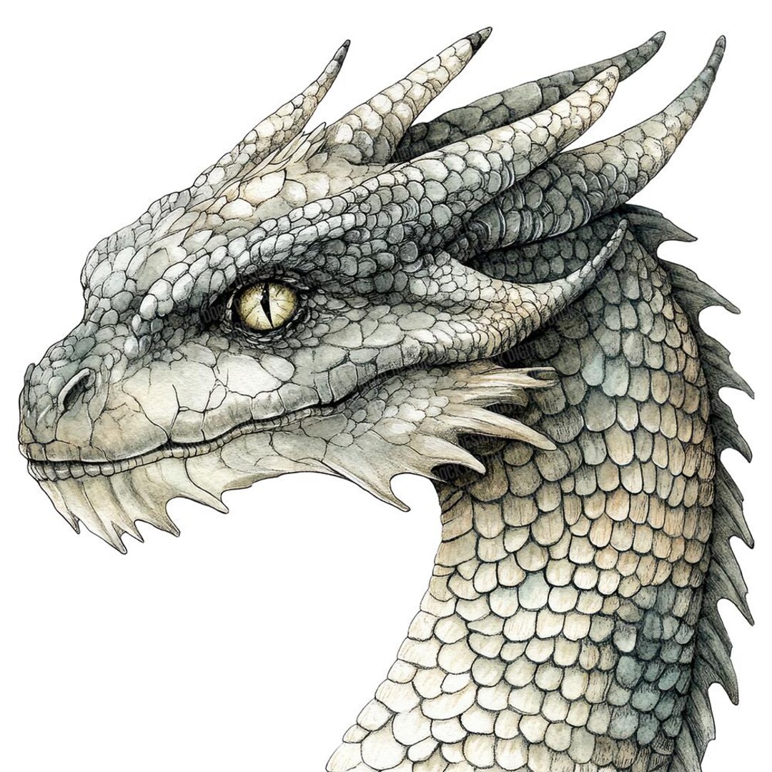 Dragon Profile PNG Clip Art, 12x Fantasy Dragon Clip Art Set, Printable ...