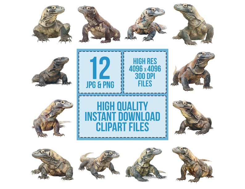 Komodo Dragon PNG Clipart, 12x Watercolor Lizard Clip Art Set ...