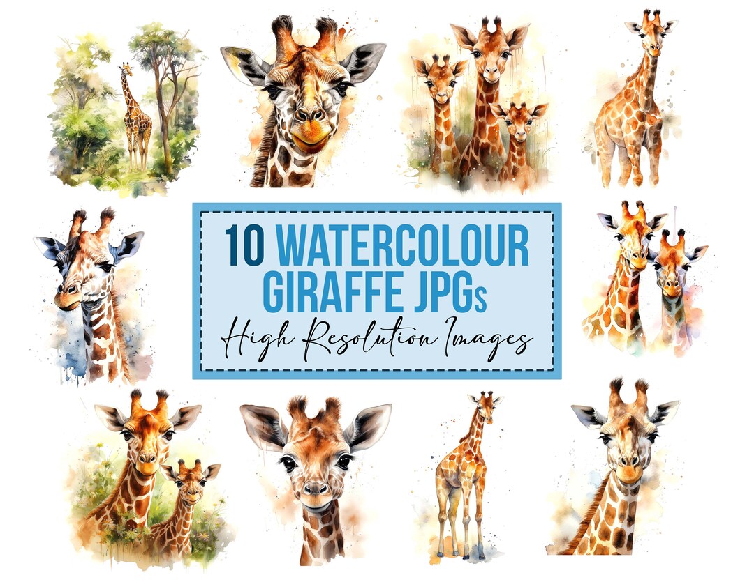 10x Giraffes Watercolor Safari Giraffe Clipart JPG Digital Clip Art ...