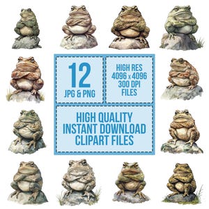 Grumpy Toad PNG Clipart, 12x Angry Frog Clip Art Set, Printable ...
