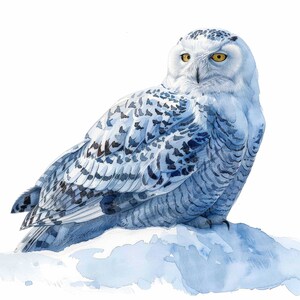 Snowy Owl Clipart, 12 Jpgs, Winter Snow Owls Clip Art, Printable Image ...