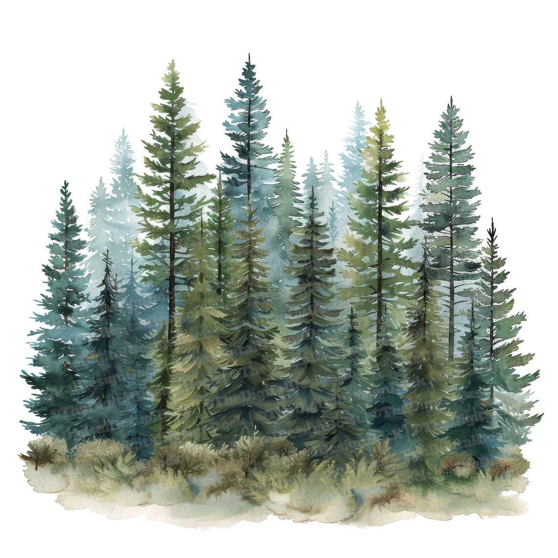 12 Pine Forest Clipart, Evergreen Trees Clipart, Printable Forest ...
