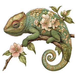 12 Chameleon Watercolor PNG Clipart, Folk Art Reptile Clip Art Set ...