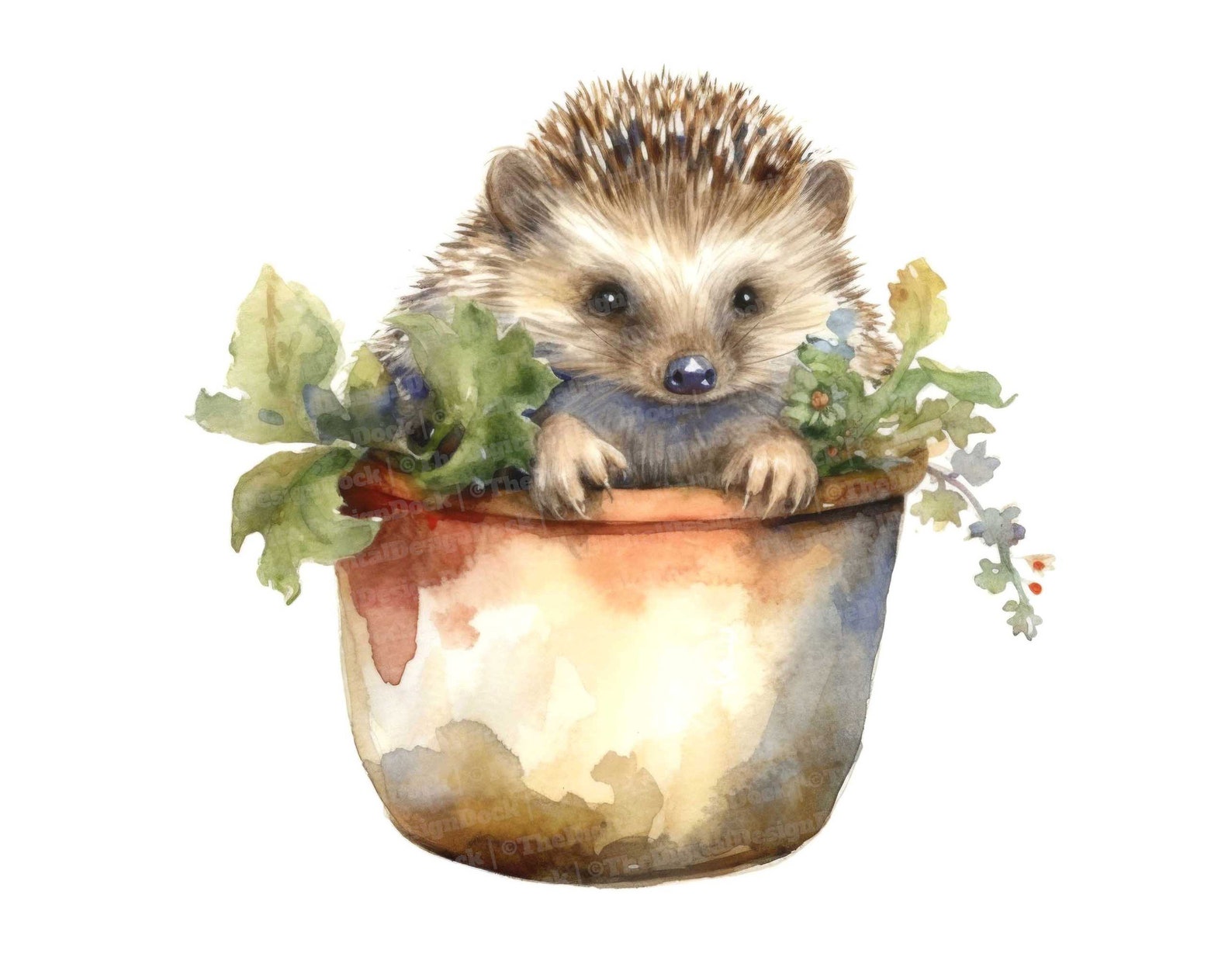 Watercolor Plantpot Baby Hedgehog Clipart, 12 Jpgs, Printable Image ...