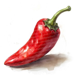 12 Red Chilli Pepper Clipart, Watercolor Green Chilis, Printable ...