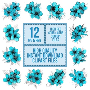 Turquoise Floral PNG Clip Art, 12x Abstract Flower Clipart Set ...