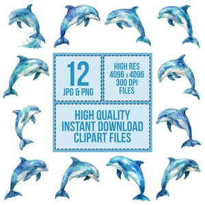 12x Dolphin PNG Clipart, Watercolor Ocean Animal Clip Art Set ...