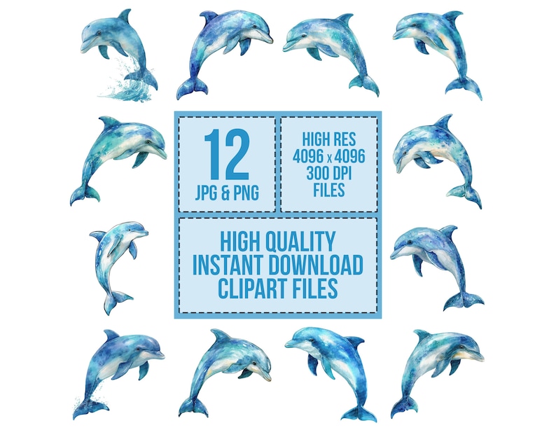 12x Dolphin PNG Clipart, Watercolor Ocean Animal Clip Art Set ...