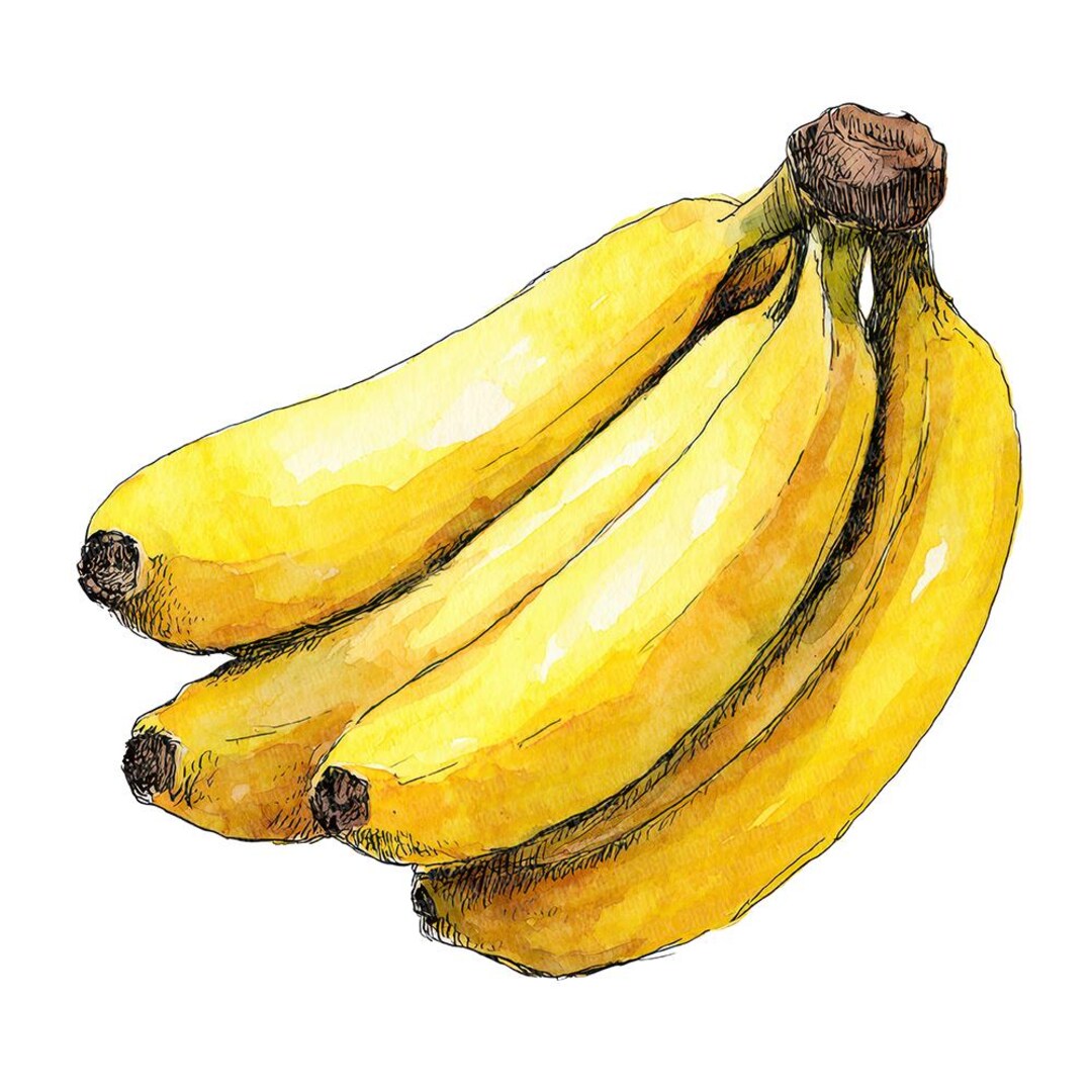 Banana PNG Clipart, 12x Watercolor Fruit Clip Art Set, Printable Banana ...