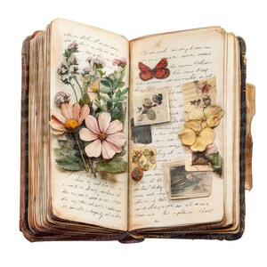 12 Vintage Junk Journal Clipart, Watercolor Journal Pages Art ...