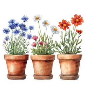 12 Watercolor Potted Flowers Clipart, Terracotta Pots With Wildflowers ...