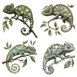 12 Chameleon Watercolor PNG Clipart, Folk Art Reptile Clip Art Set ...