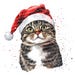 Christmas Cat Clip Art, 12x Santa Cat Watercolor Clipart Set, Printable ...