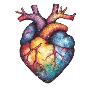 Galaxy Heart PNG Clipart, 12x Cosmic Anatomical Heart Clip Art Set ...